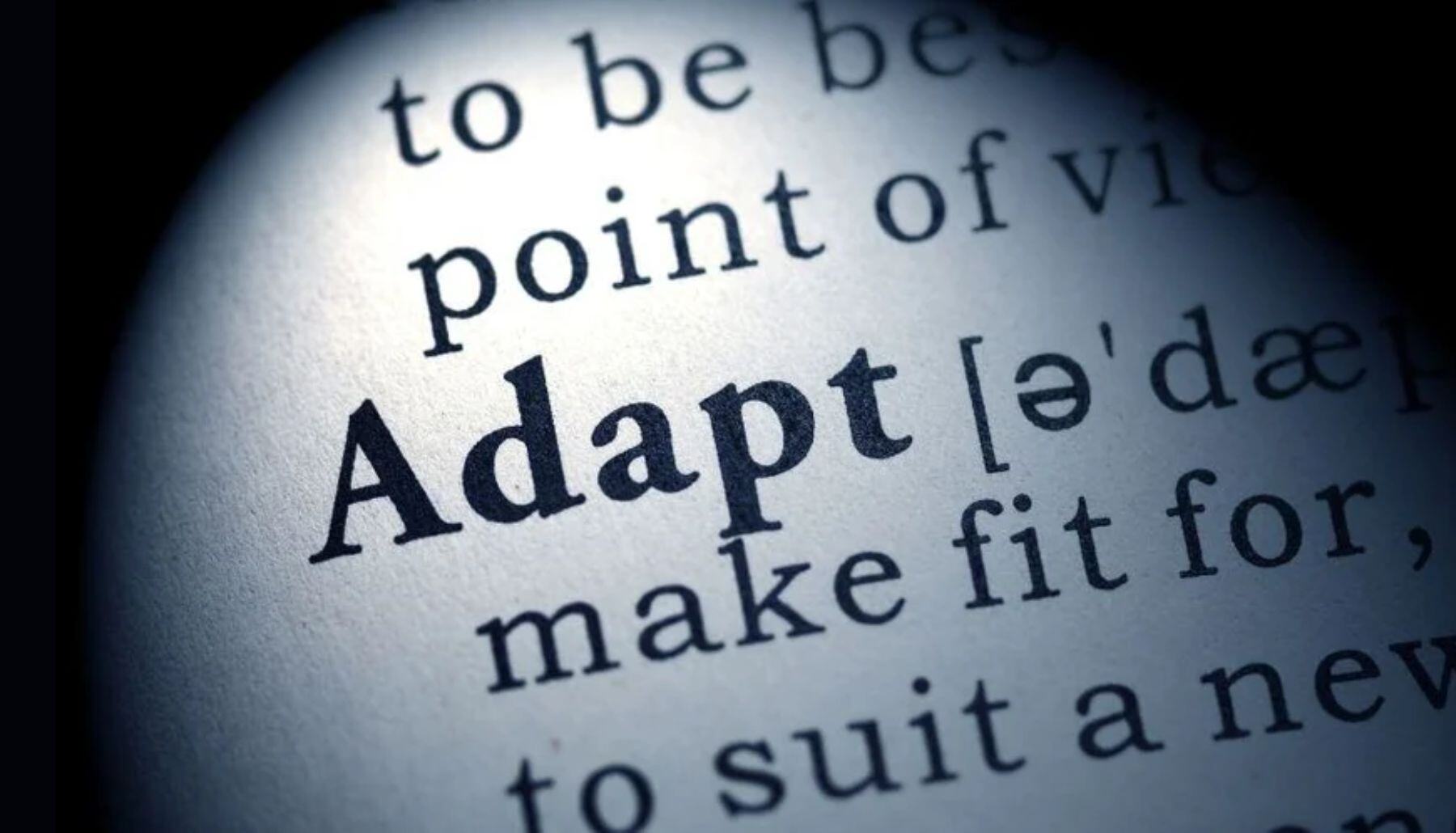 Embracing the Rapid Adaptor: Thriving in Change